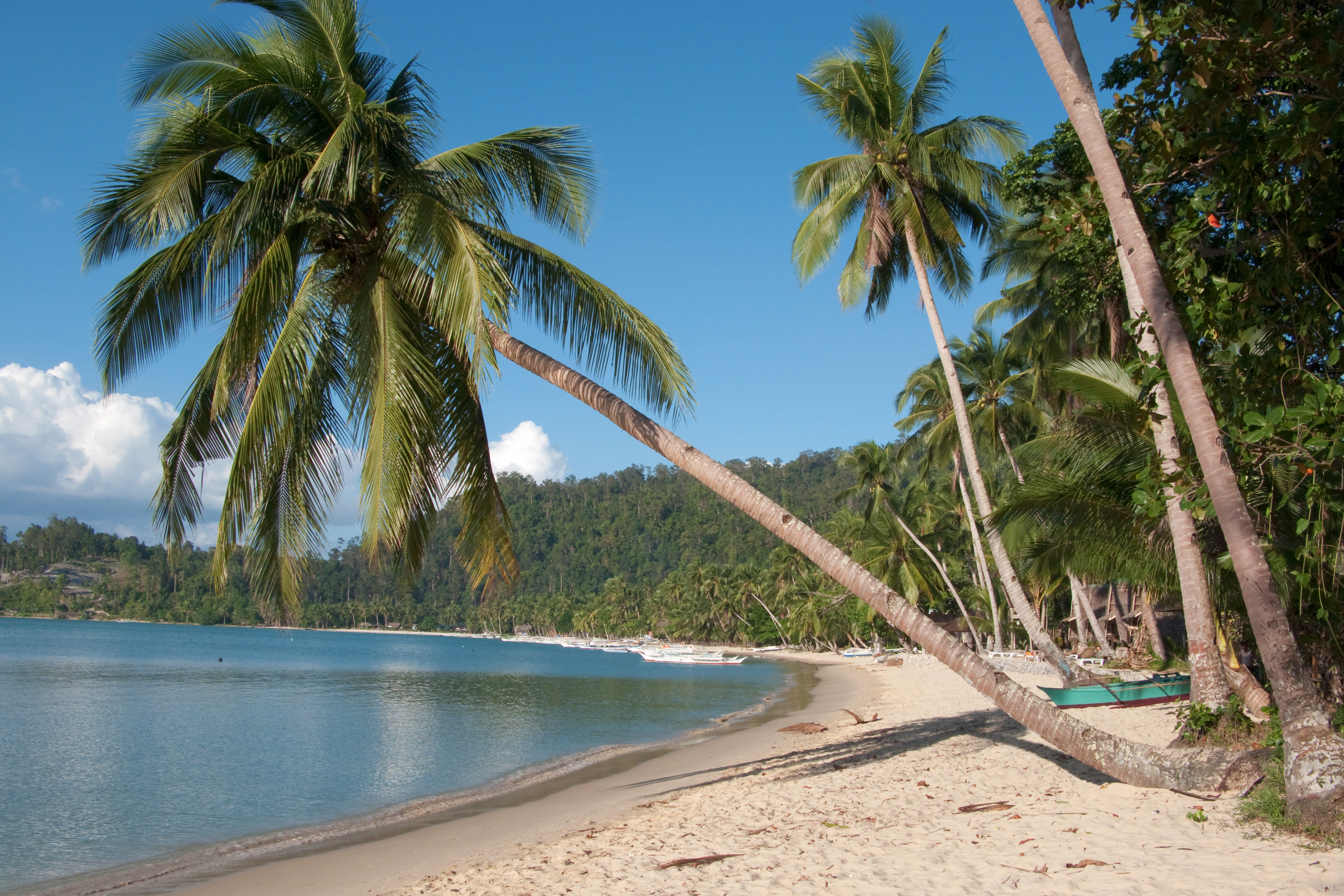 Top things to do and see in Palawan Philippines