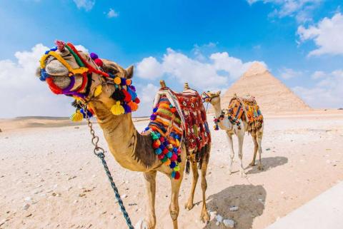 Sharm el Sheikh Exclusive locations in Egypt with guides and photos